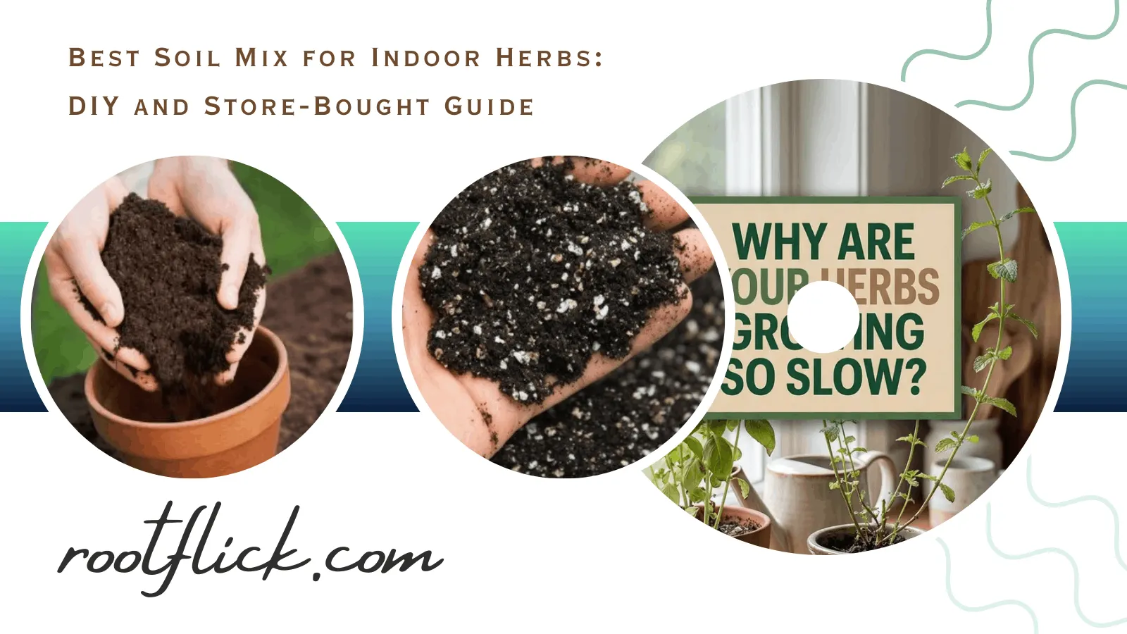 Best Soil Mix for Indoor Herbs | DIY & Potting Mix Guide